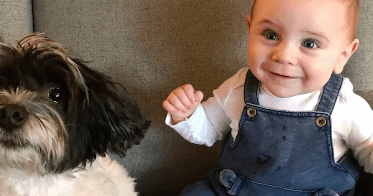 Becoming a Father After Cancer - Todd Rosenbluth's Story - SurvivorNet