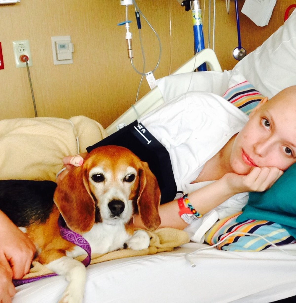 National Dog Day 2021: How Do Our Furry Friends Help Cancer Patients ...