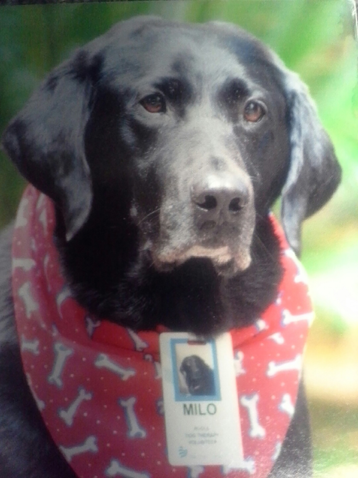 Advocating for Yourself is the Most Important Thing: Multiple Myeloma ...