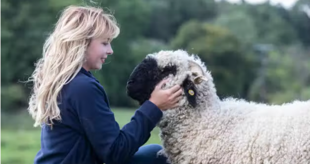 Two-Time Survivor Beat Sarcoma and Melanoma; Turns to Sheep Therapy