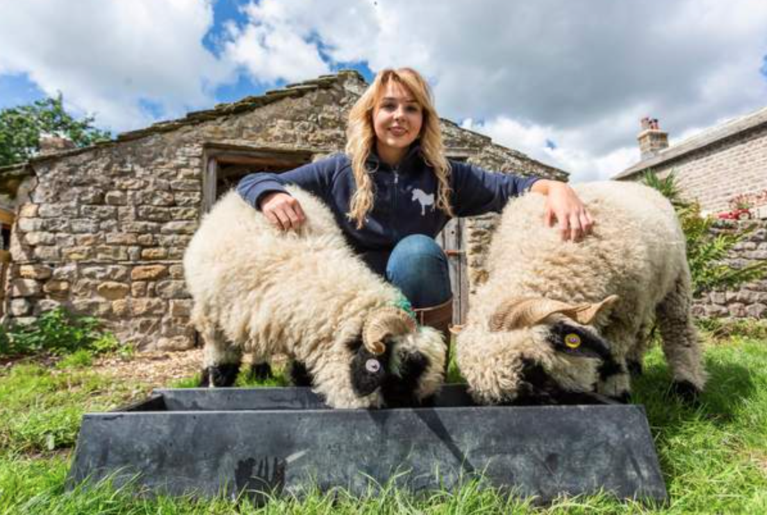 Two-Time Survivor Beat Sarcoma and Melanoma; Turns to Sheep Therapy