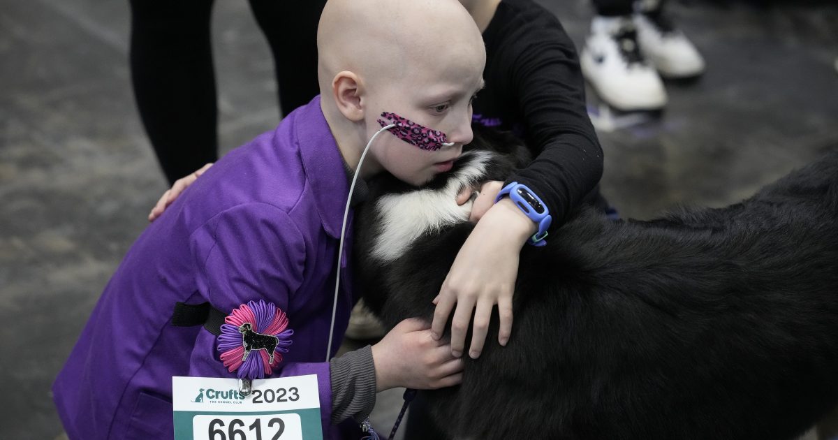 Cancer Survivor, 8, Trains Pet During Treatment for Famous Dog Show