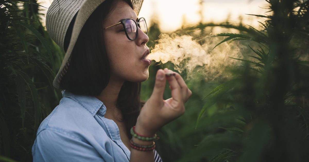 Study Suggests Cannabis Addiction Poses Health Risks Including Cancer